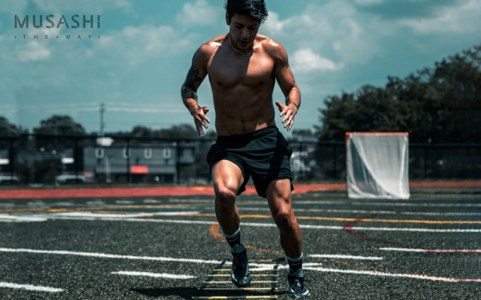 How is protein used in the body? – Musashi ME